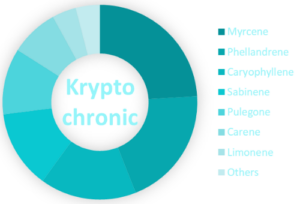 Unveiling the Mystique of Kryptochronic Cannabis Strain