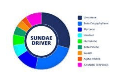 Cannabis Strain of the Week: Sundae Driver