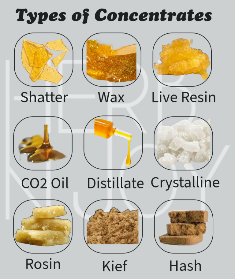 A Complete Guide to the Different Types of Cannabis Concentrates